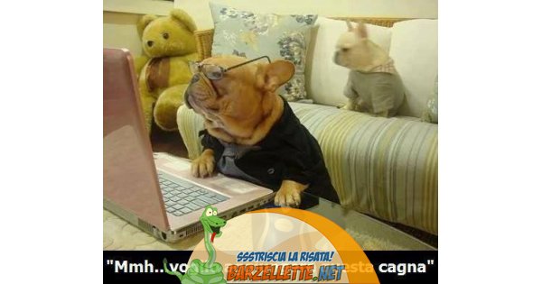 Barzellette.net Foto: Cane che guarda il pc ed usa il mouse...